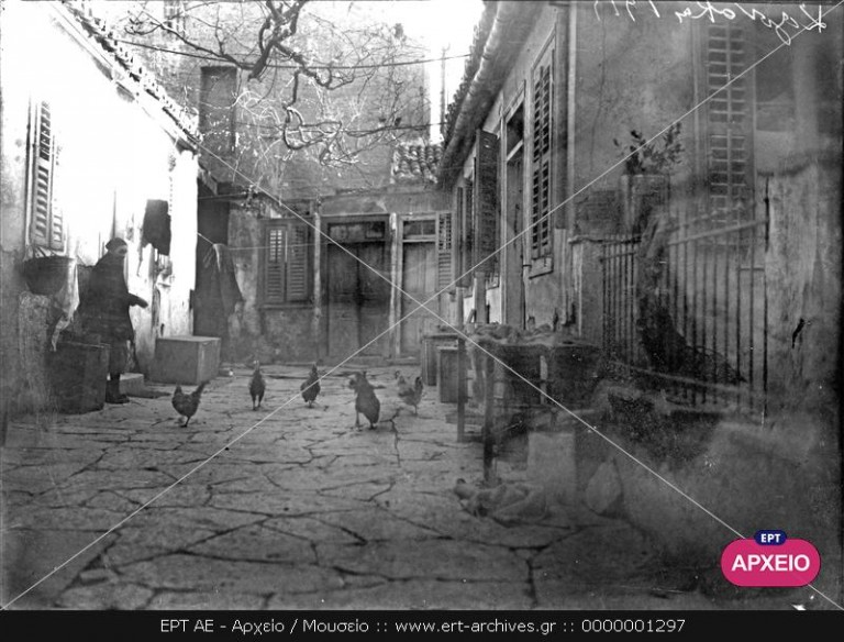 ΚΟΤΕΣ ΣΕ ΑΥΛΗ ΣΠΙΤΙΟΥ | archive.ert.gr