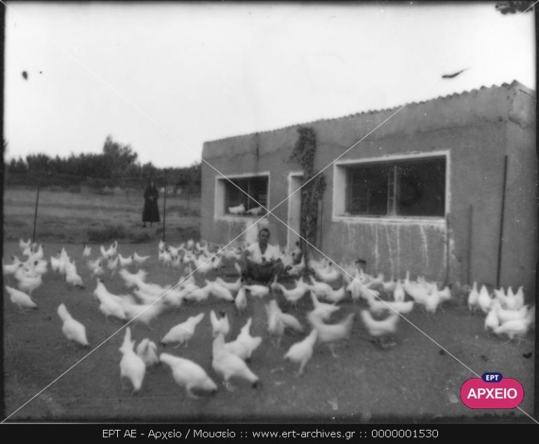 ΠΤΗΝΟΤΡΟΦΕΙΟ | archive.ert.gr