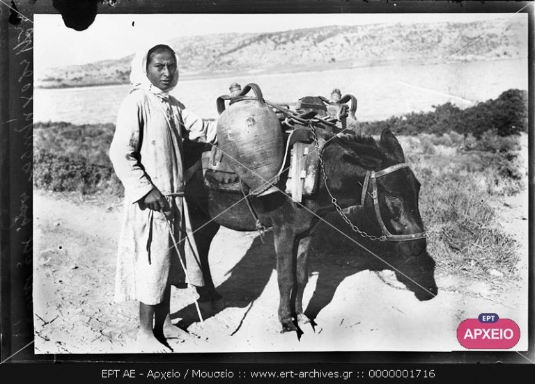 ΚΟΠΕΛΑ ΜΕΤΑΦΕΡΕΙ ΝΕΡΟ ΣΤΗ ΒΑΡΚΙΖΑ | archive.ert.gr
