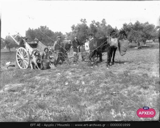 ΟΡΓΩΜΑ ΜΕ ΤΟ ΑΛΕΤΡΙ ΣΤΟ ΓΕΡΑΚΑ | archive.ert.gr