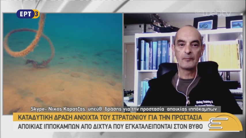 Προστατεύουν αποικία ιππόκαμπων στο Στρατώνι Χαλκιδικής | archive.ert.gr