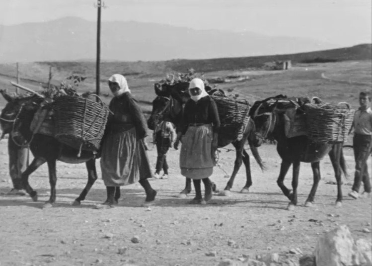 Η ΜΑΚΕΔΟΝΙΚΗ ΜΑΣ ΩΡΑ | archive.ert.gr